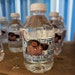 Maui Water Bottle Labels/maui From Moana Birthday Party Decorations ...