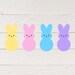 Marshmallow Bunnies SVG | Easter Svg | Easter Bunny Svg | Cute Spring ...