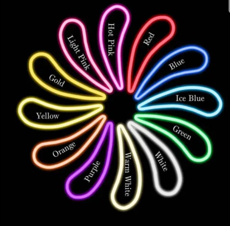 EBT Accepted LED Flex Neon Sign for Retail Window Displays.we Accept ...