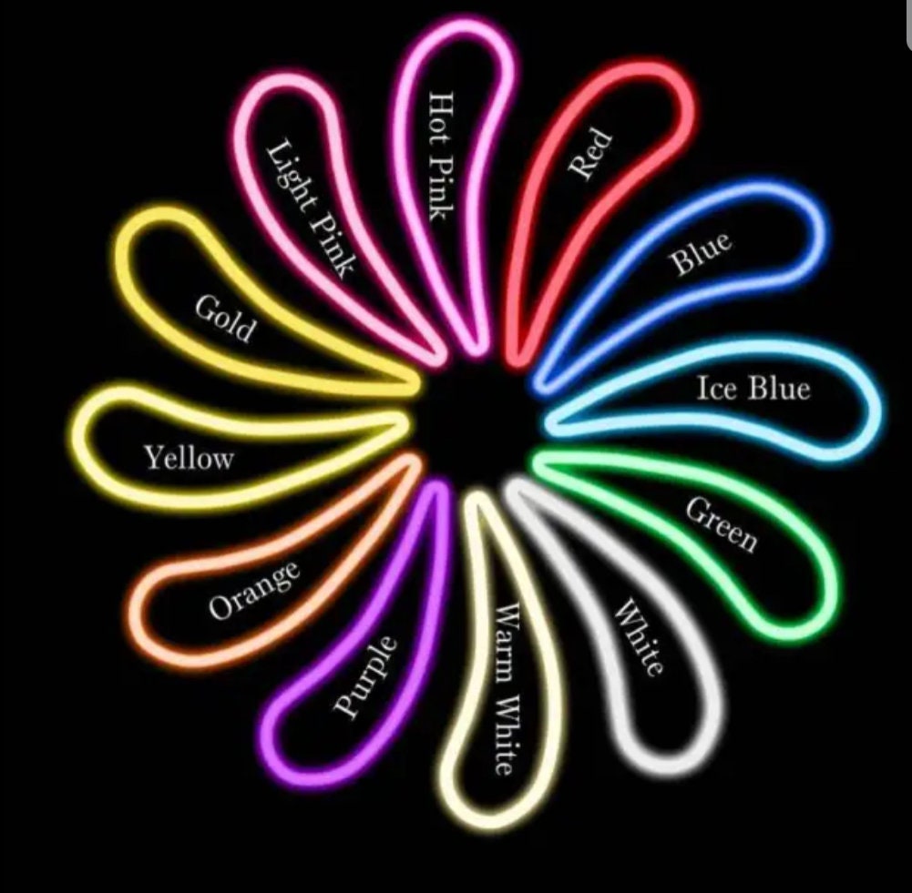 EBT Accepted LED Flex Neon Sign for Retail Window Displays.we Accept ...