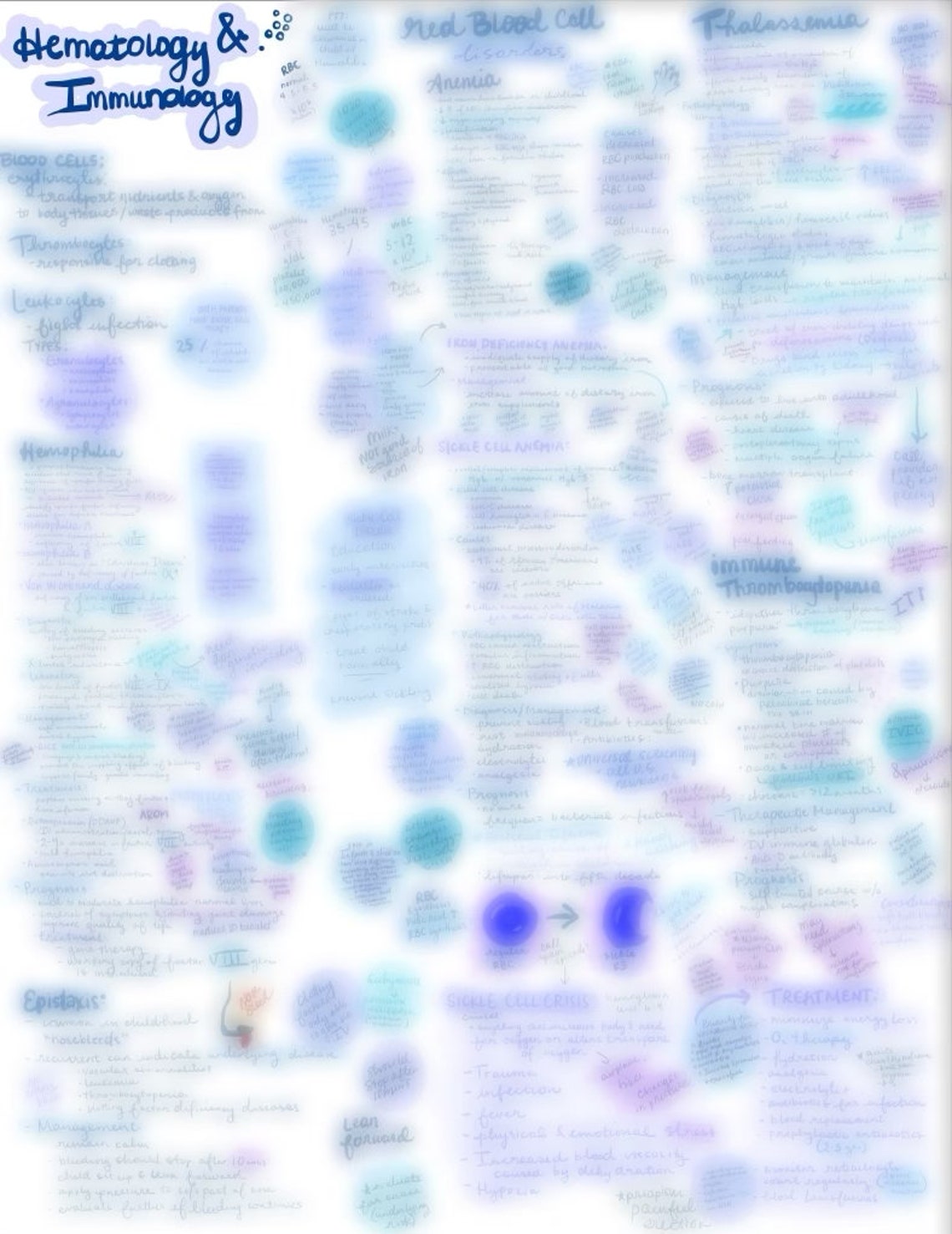 Pediatric Hematology and Immunology Notes Cheat Sheet - Etsy