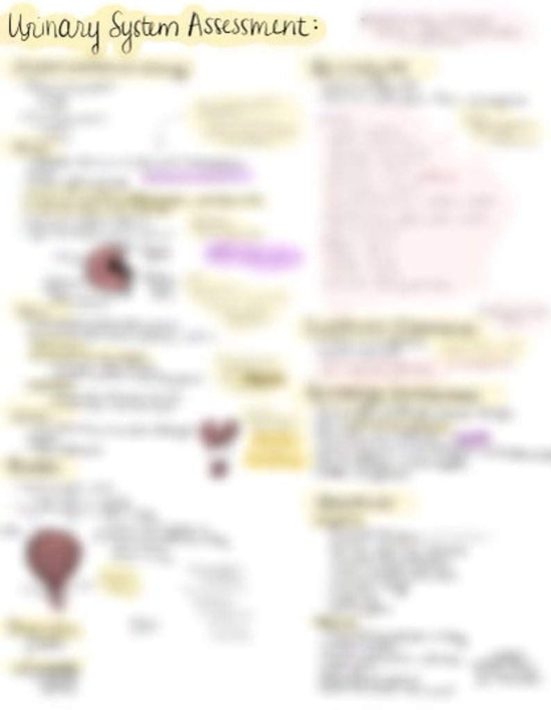 Med Surg: Urinary Assessment Nursing Cheat Sheet - Etsy