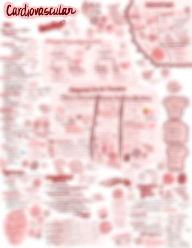 Pediatric Cardiac Nursing Notes Cheat Sheet - Etsy