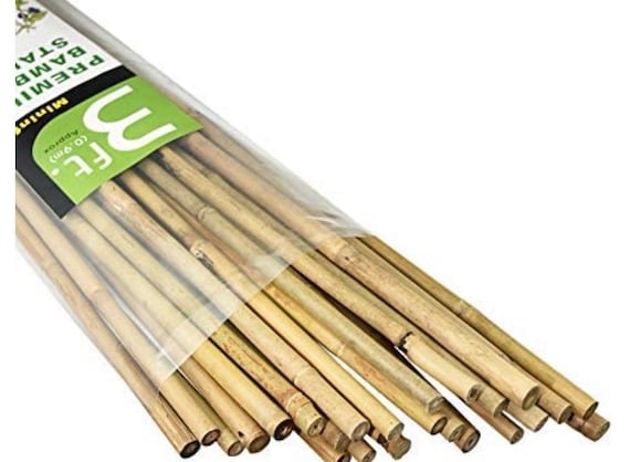 Bamboo stakes store