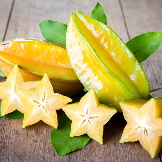 Starfruit Carambola Rare averrhoa Carambola Live Fruit Tree - Etsy ...