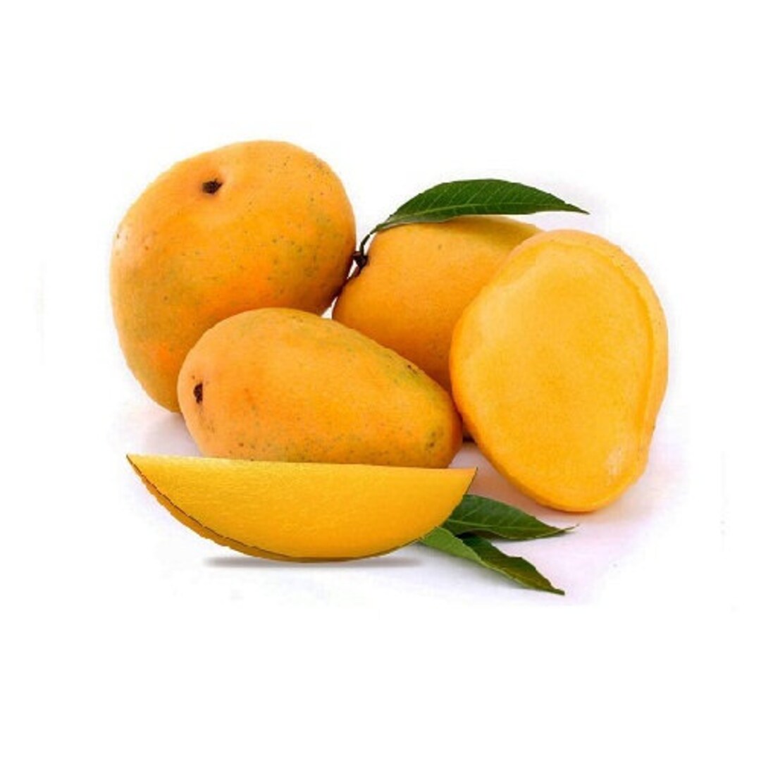 2-3ft Grafted Mango Neelam Neelum Mango mangifera - Etsy