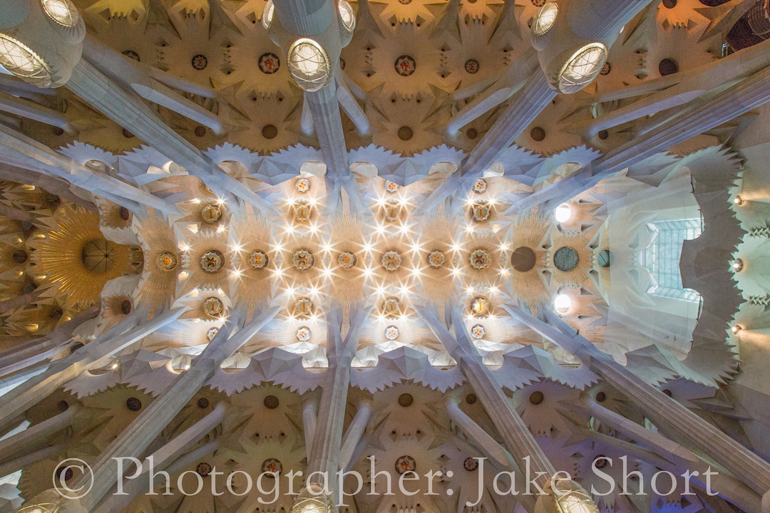 Sagrada Familia, Gaudi, Spain, Flowers, Flower Wall, Potted Flowers ...