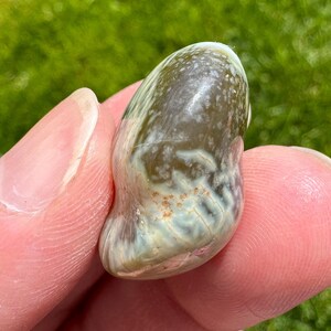 RARE Blue Gobi Eye Agate 1 - Etsy