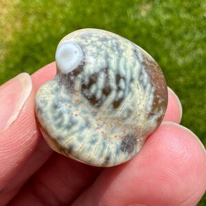RARE Blue Gobi Eye Agate 1 - Etsy