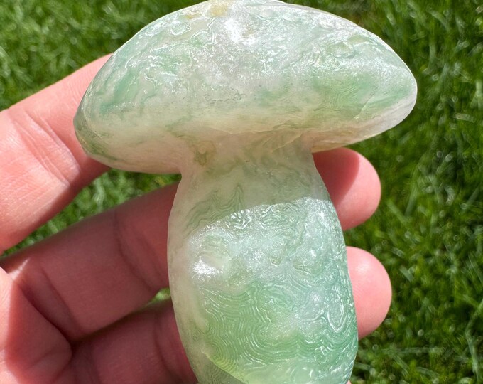 RARE Green Gobi Eye Agate Mushroom 2 1/4” - Etsy