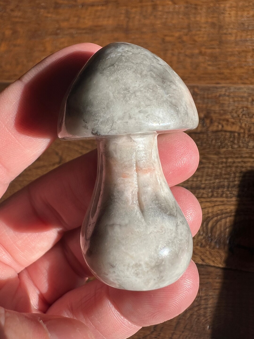 Pink Zebra Crystal Mushroom 2 - Etsy