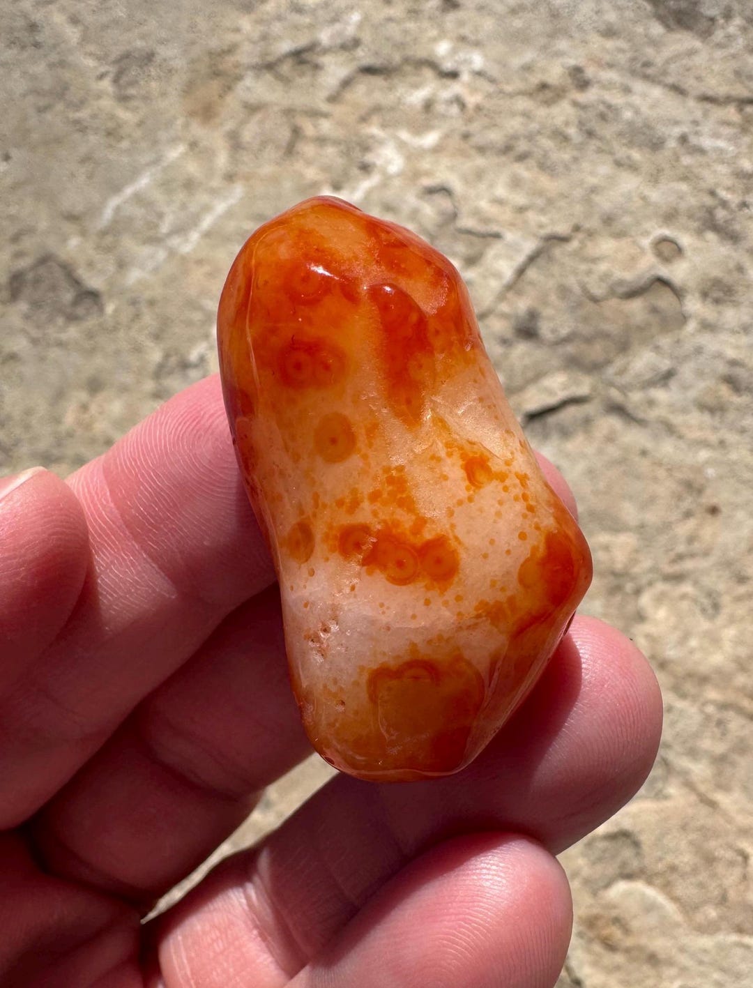 RARE Orange Gobi Eye Agate (small Polished Pieces) 1 5/8” - Etsy