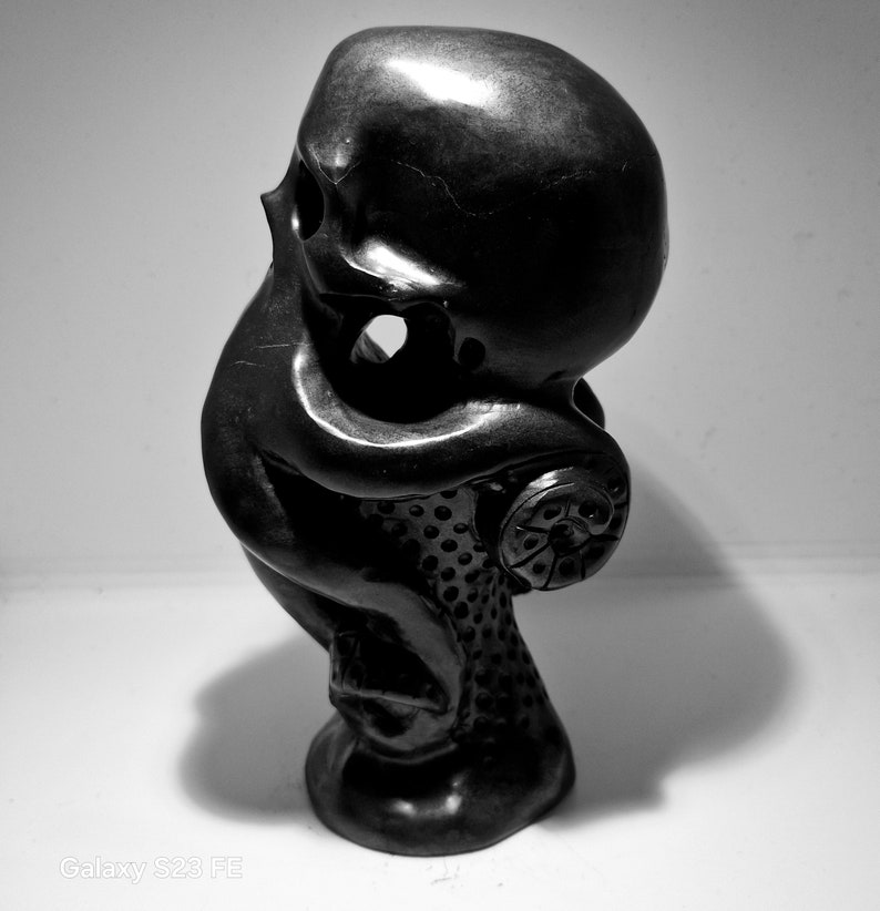 Shungite Nautiloid Cthulhu Skull - Etsy