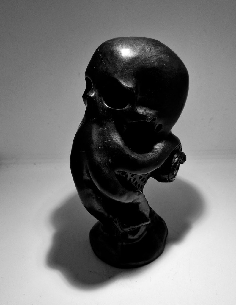 Shungite Nautiloid Cthulhu Skull - Etsy