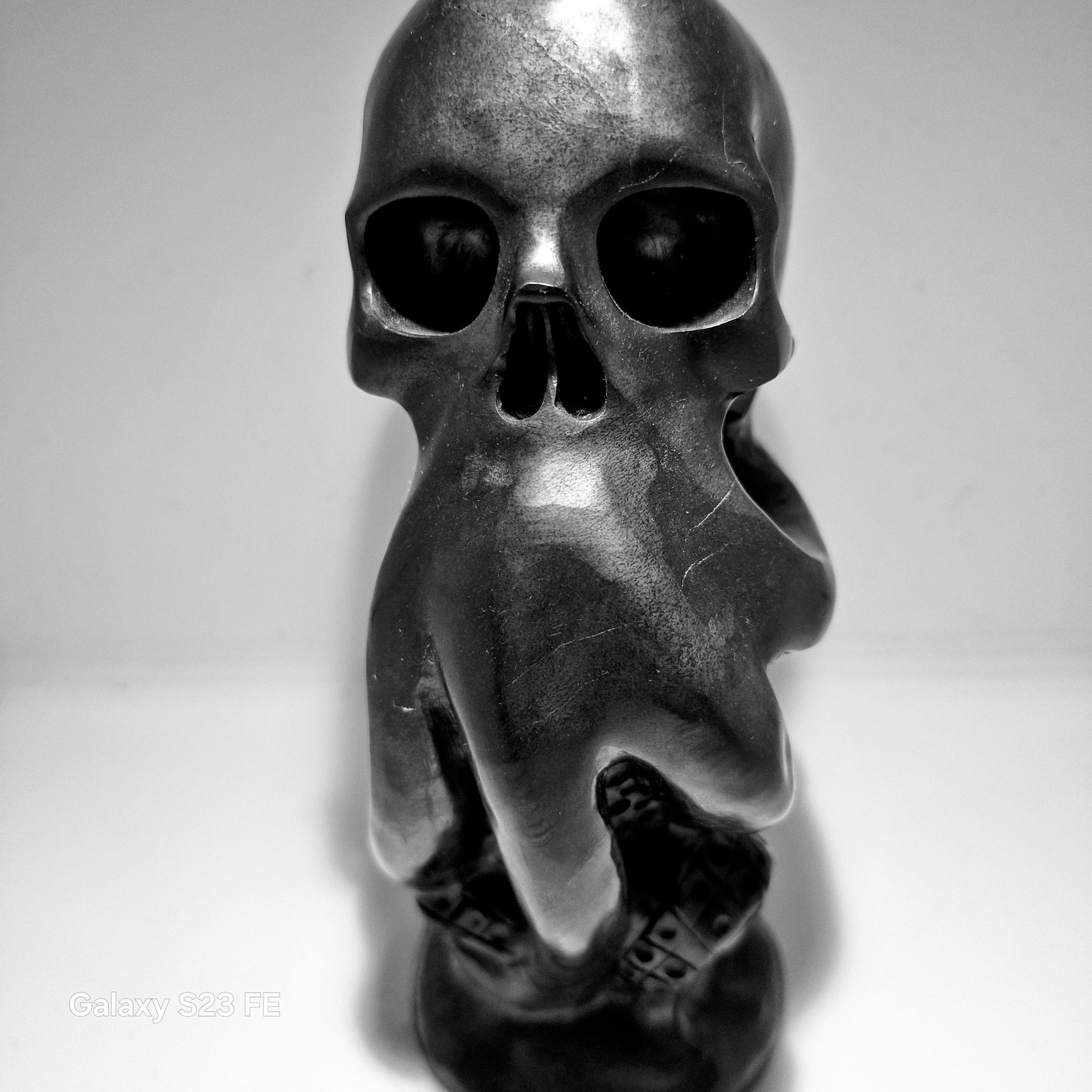 Shungite Nautiloid Cthulhu Skull - Etsy