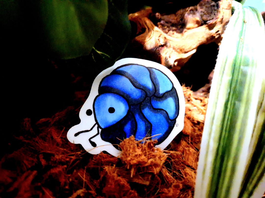 Rolly Polly Diecut Sticker - Etsy