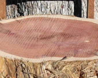 Cedar Circles | Etsy