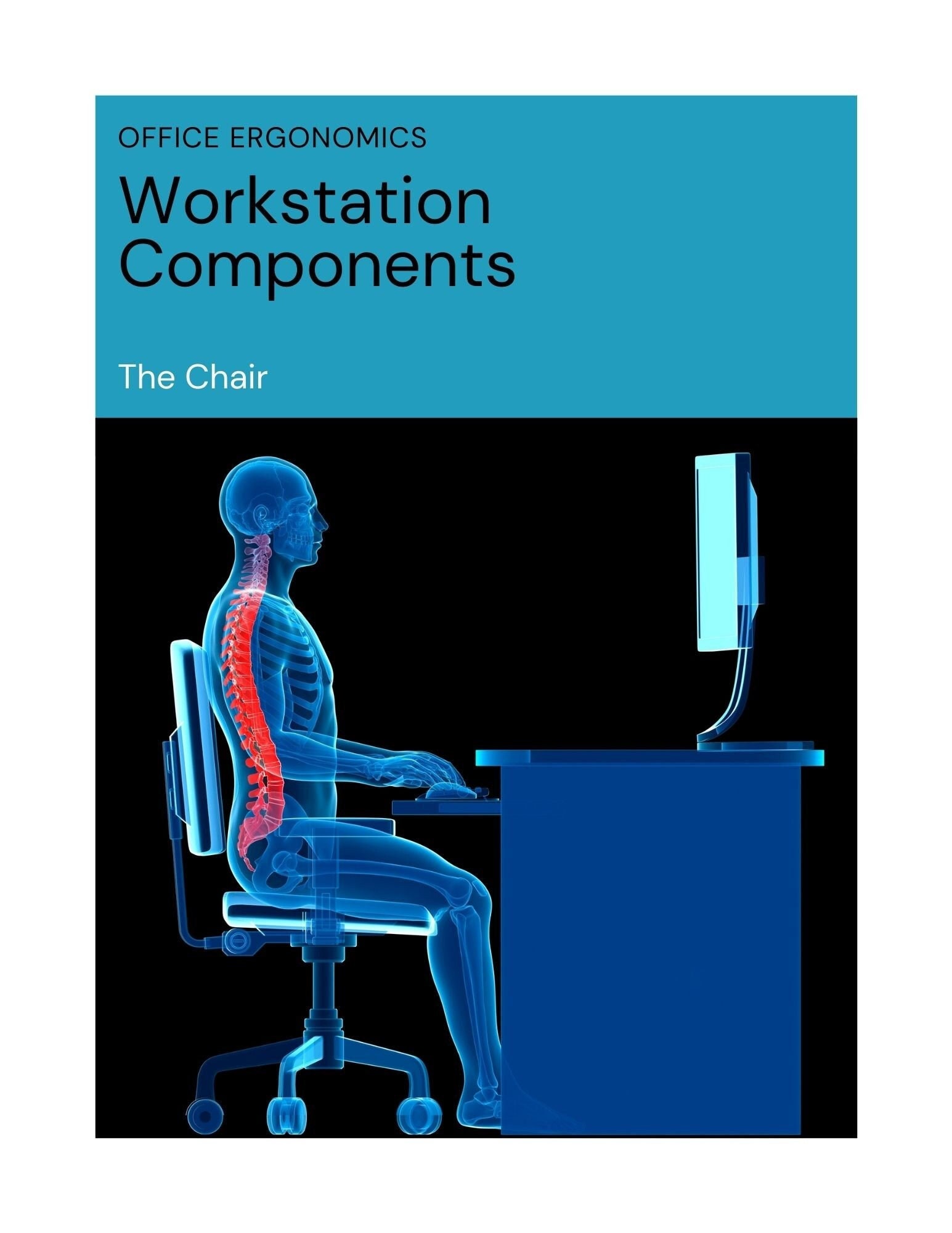 Office Ergonomics Workstation Components: the Chair - Etsy
