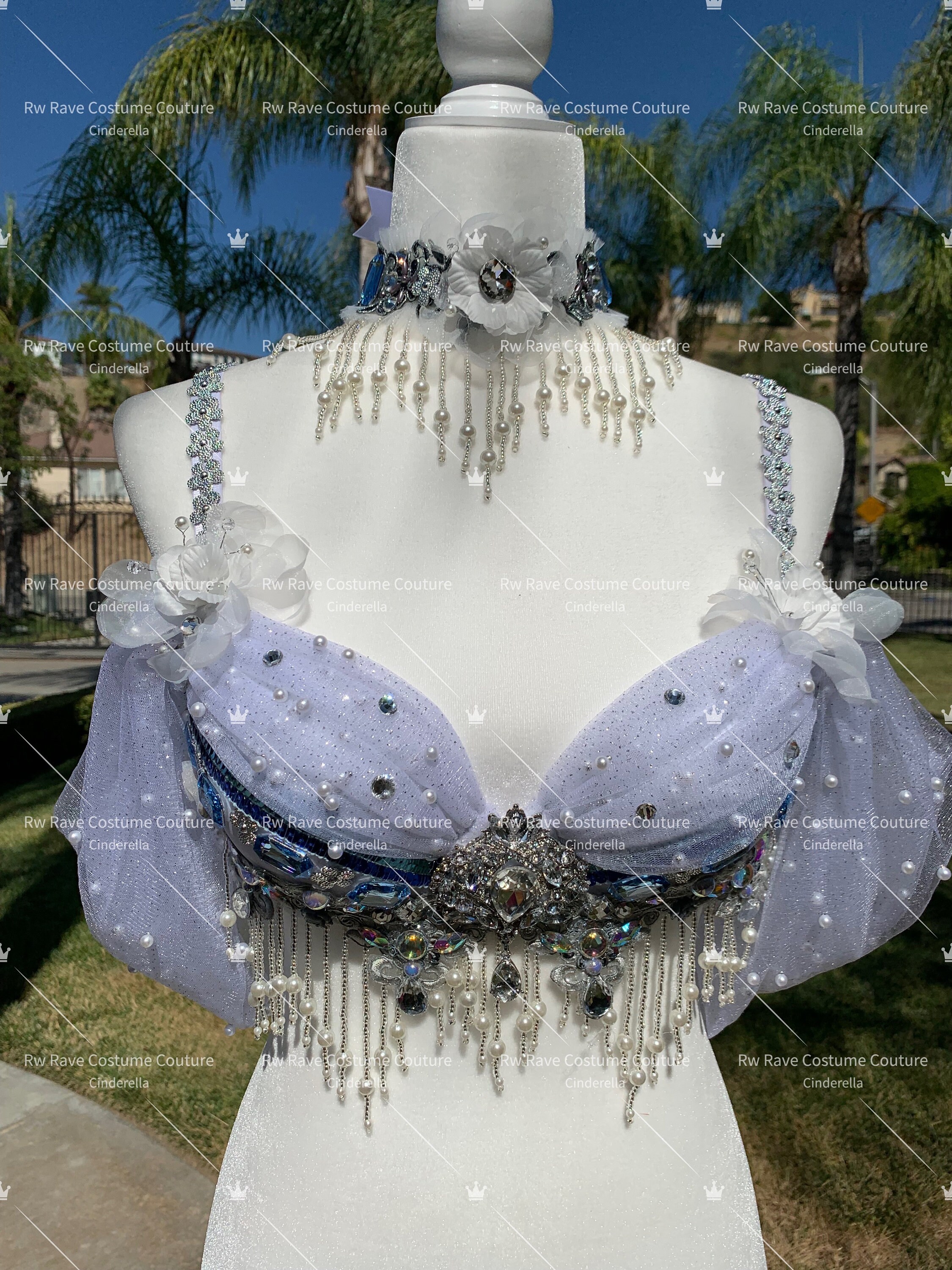 The Cinderella Bra+ Choker Only/festival Clothing/halloween Costume ...