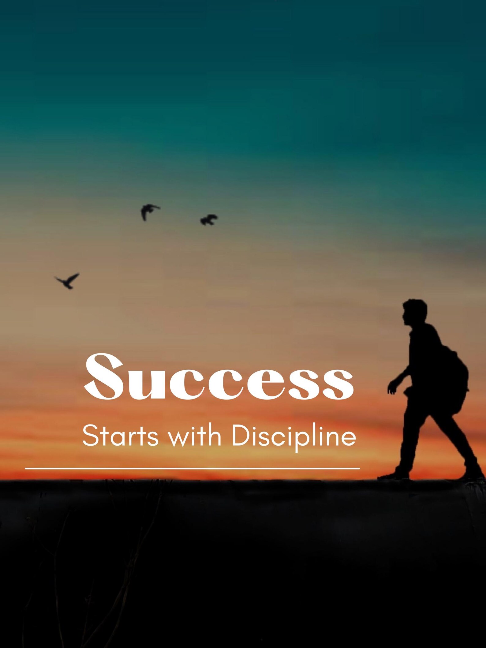 Success Starts With Discipline Motivational Quote Poster for Dorm Room ...