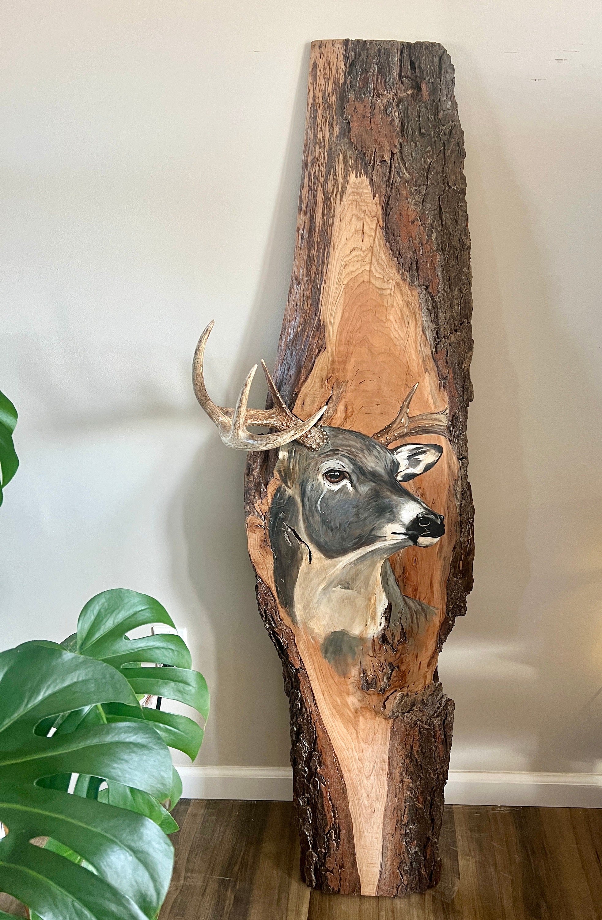 Whitetail Deer on Live Edge Wood Slab, Real Antler, 3D Art - Etsy