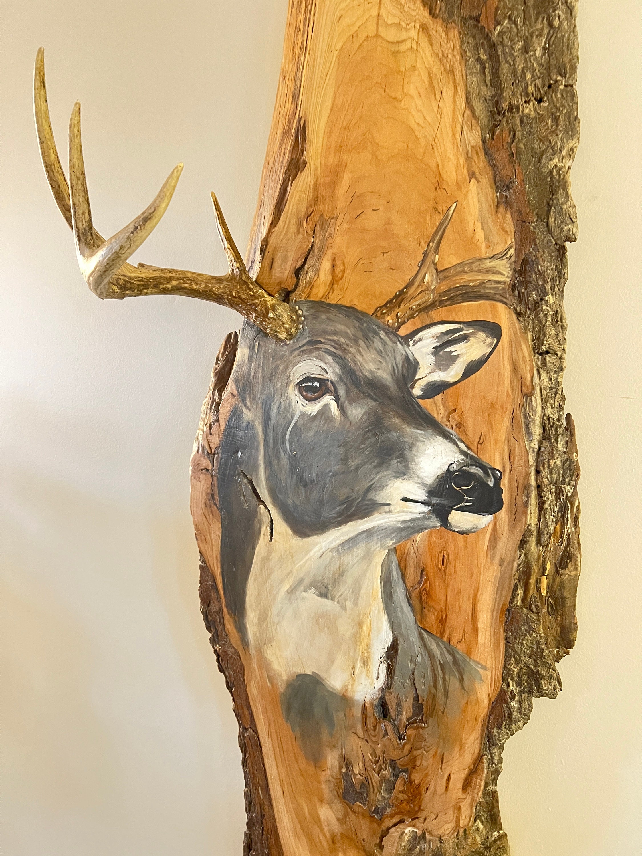 Whitetail Deer on Live Edge Wood Slab, Real Antler, 3D Art - Etsy