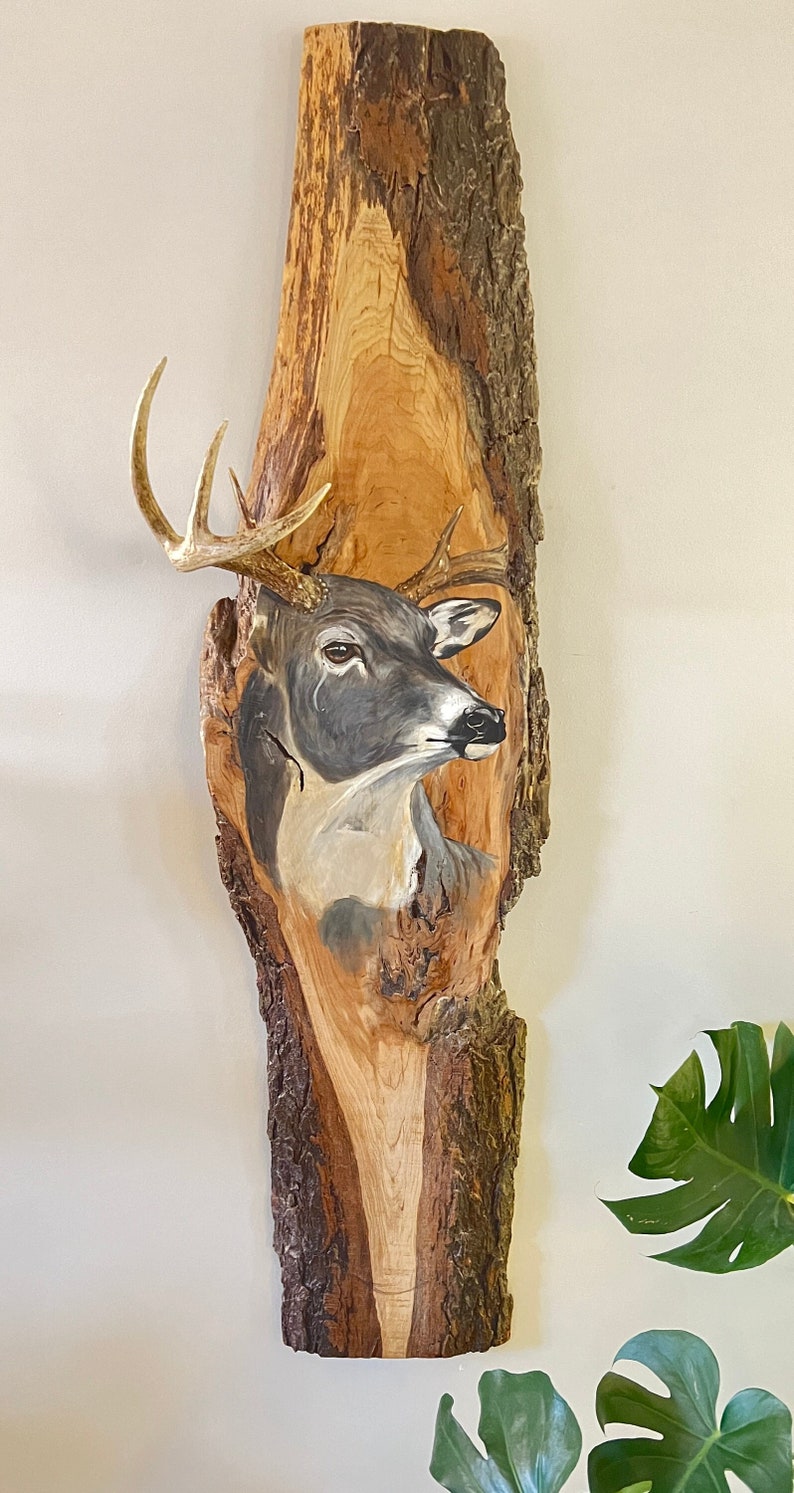 Whitetail Deer on Live Edge Wood Slab, Real Antler, 3D Art - Etsy