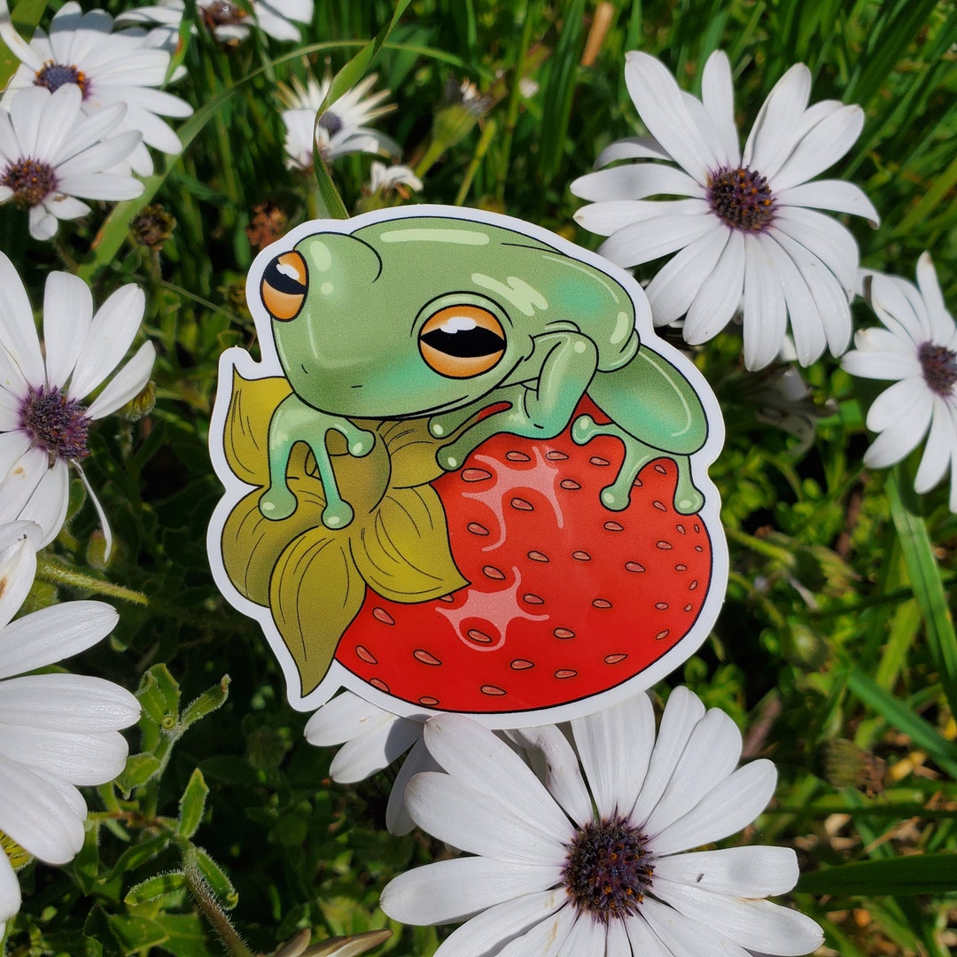 Strawberry Frog Sticker - Etsy