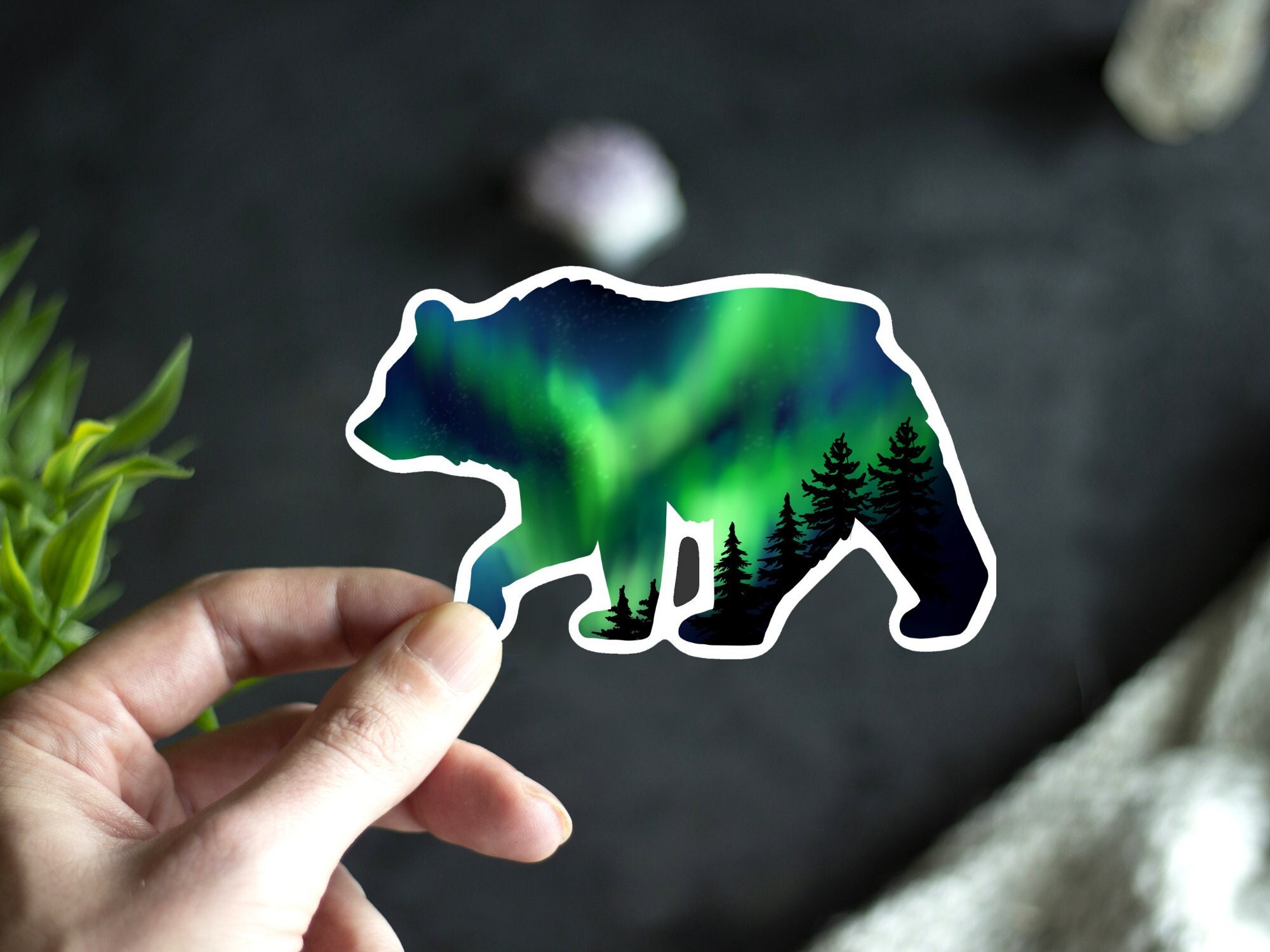 Aurora Bear Vinyl Sticker Aurora Borealis Animal Sticker | Etsy