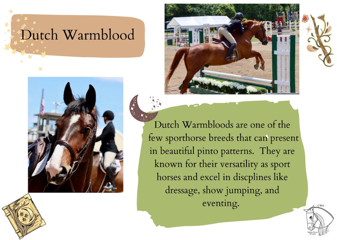 Reference Card Template - Whimsical Bundle - Etsy