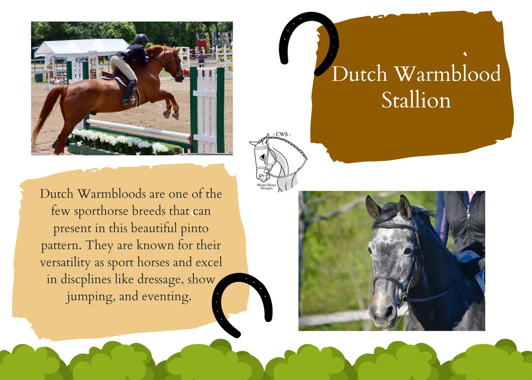 Reference Card Template- Best Hoof Forward Bundle - Etsy