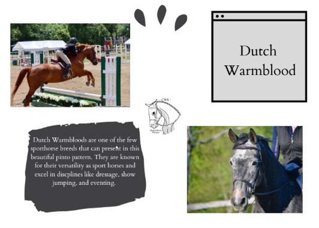 Reference Card Template- Monochrome Bundle - Etsy