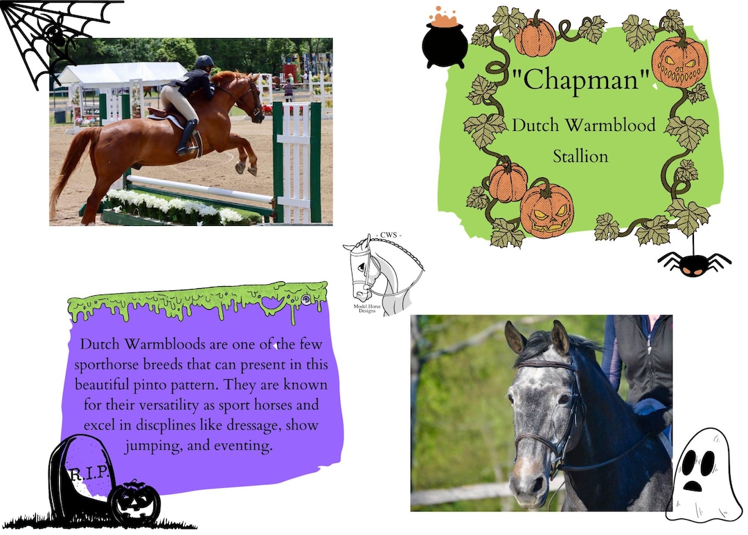 Reference Card Template - Spooky Bundle - Etsy