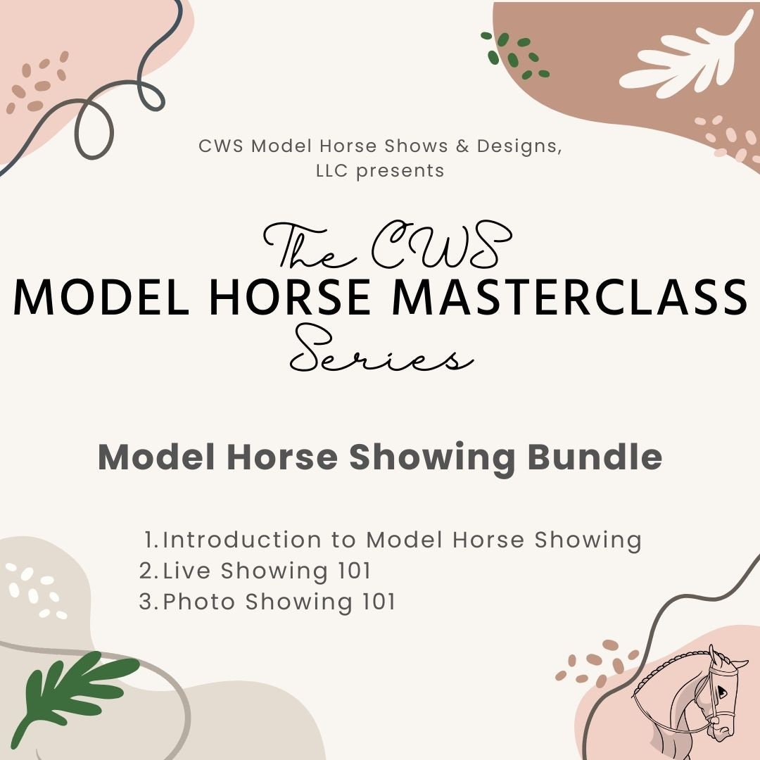 CWS Model Horse Masterclass- Model Horse Showing Bundle - Etsy