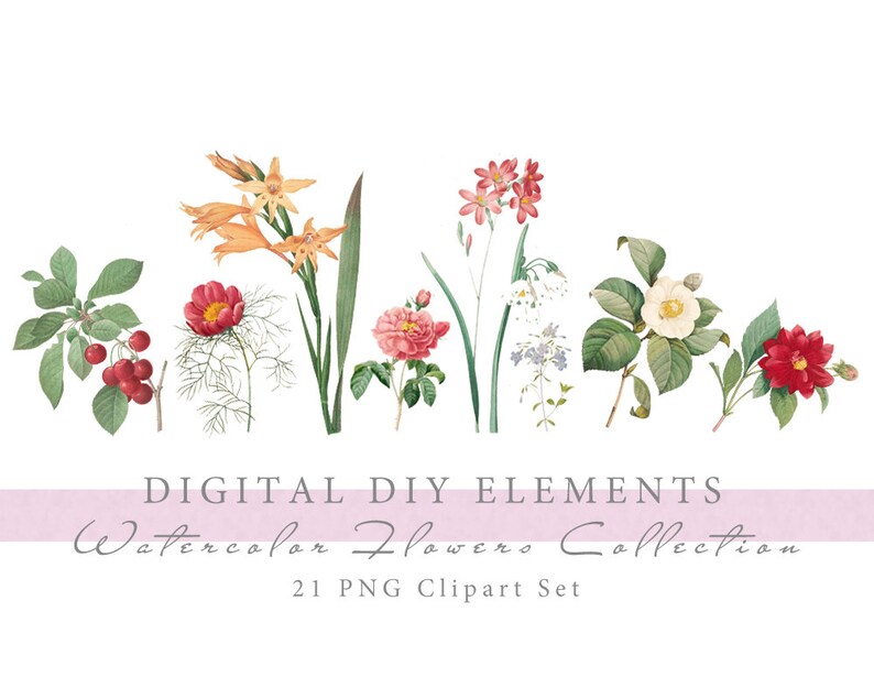 21 Watercolor Flowers | Floral PNG | Clipart | Floral Wall Art ...