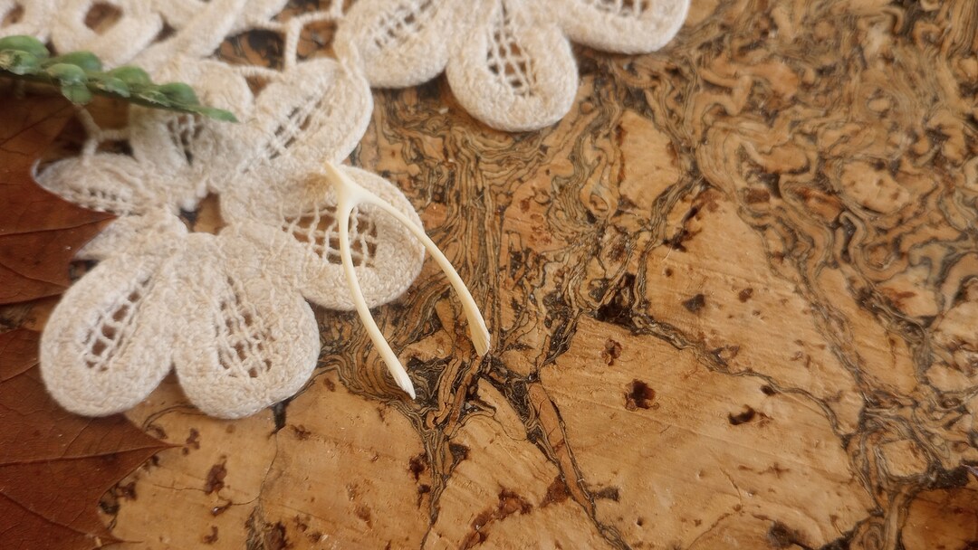 Deathtaxusa • #1933 - Real Animal Domestic Chick Chicken Wishbone ...