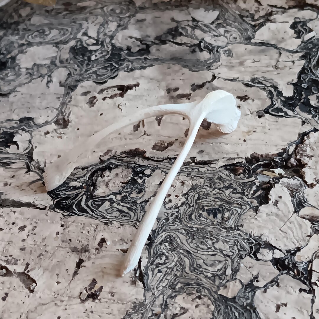 Deathtaxusa • #3378 - Real Animal Domestic Chick Chicken Wishbone ...