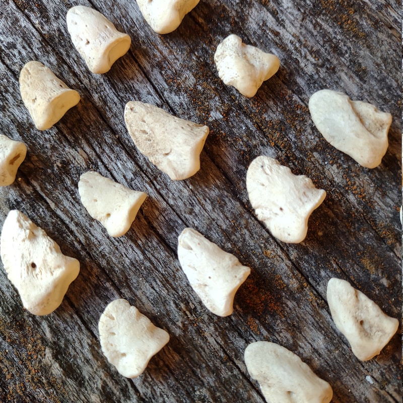 Deer Bone - Etsy