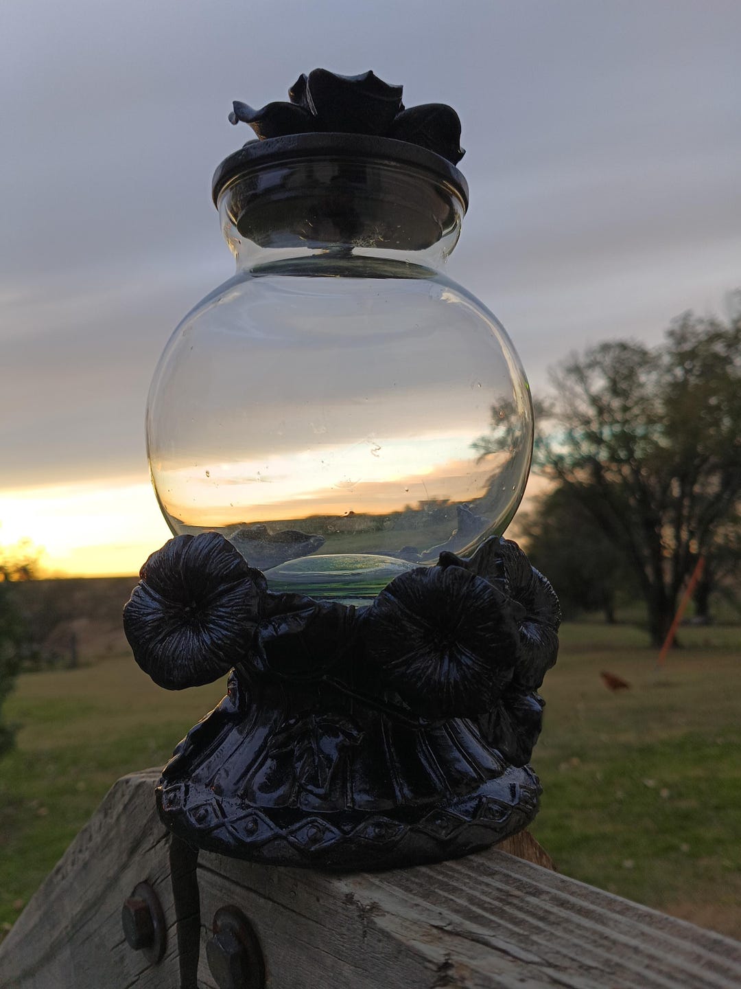 Deathtaxusa • Removable Glass Globe Shaped Black Rose Flower Stand Base ...