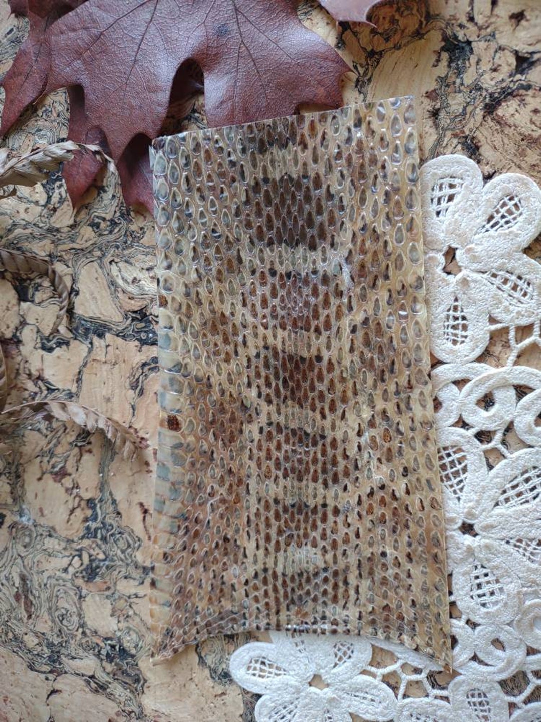 Deathtaxusa 1118 Real Animal Ratsnake Rat Snake Dried Pelt Skin Serpent ...