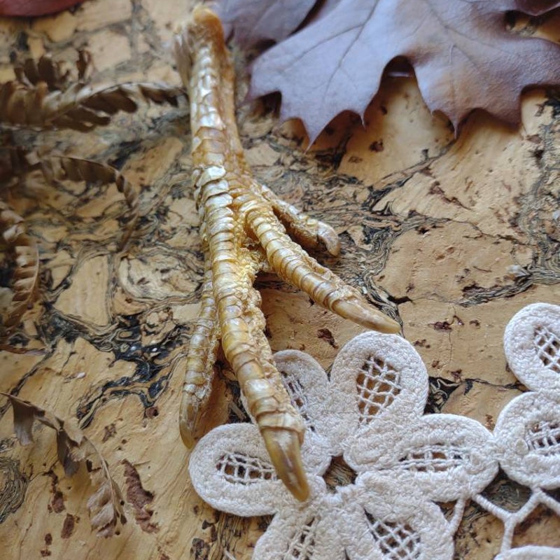 Hoodoo Chicken Feet - Etsy
