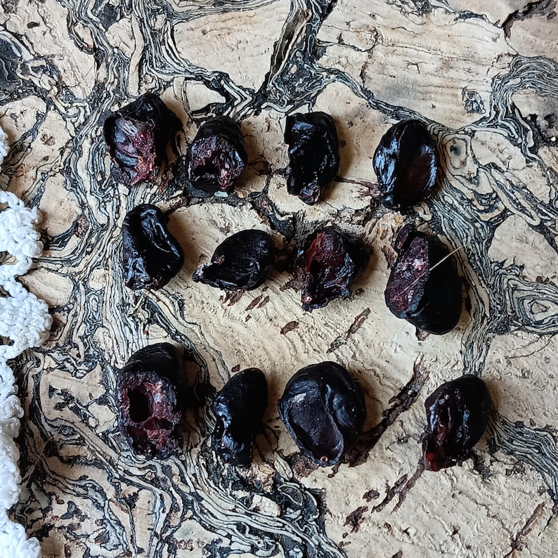 Deathtaxusa • #A10 - Real Animal Domestic Rat Mummified Dried Heart ...