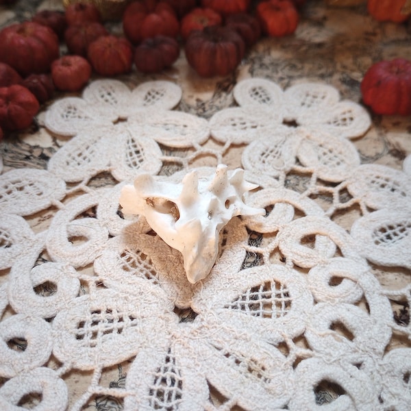 Sacrum - Etsy