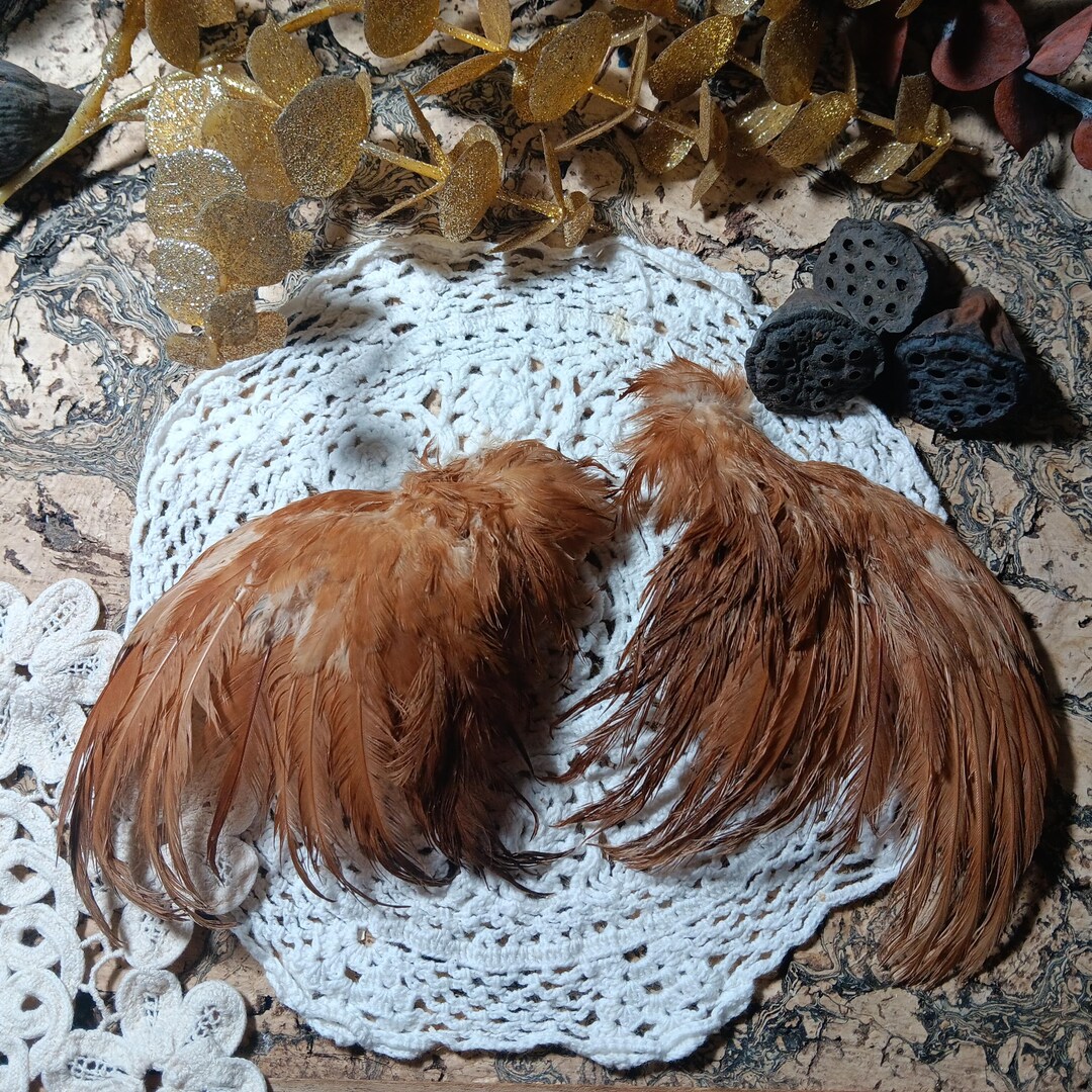 Deathtaxusa • #2479 - Real Animal Domestic Poultry Chick Chicken Wings ...