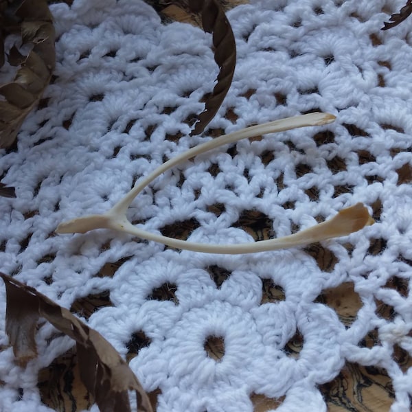 Real Wishbone - Etsy