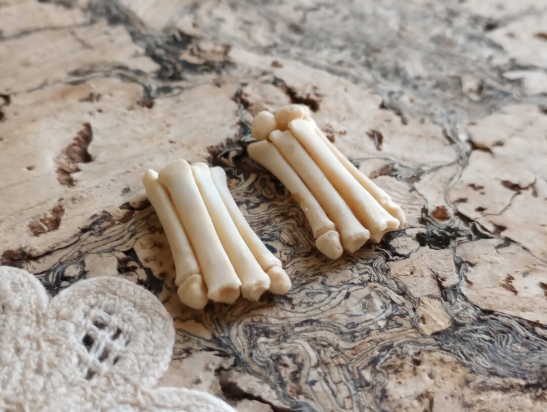 Deathtaxusa • #2780 - Real Animal Paw Paws Bones Bone Pair Set | Mammal ...
