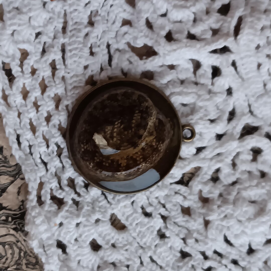 Deathtaxusa 3406 Real Animal Mummified Rattlesnake Rattler Pendant ...
