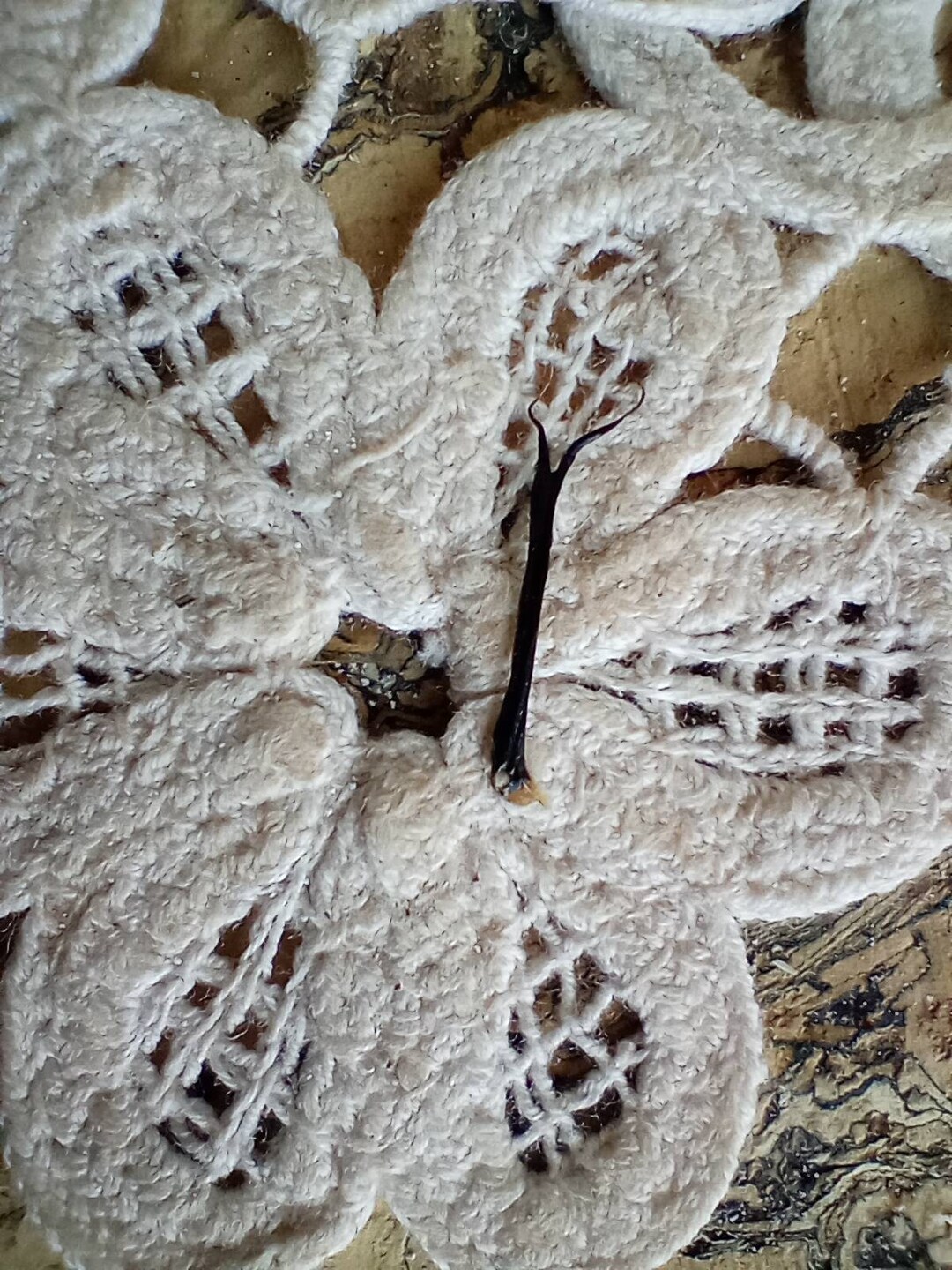 Deathtaxusa • #1788 - Real Animal Mummified Real Venomous Snake Tongue ...