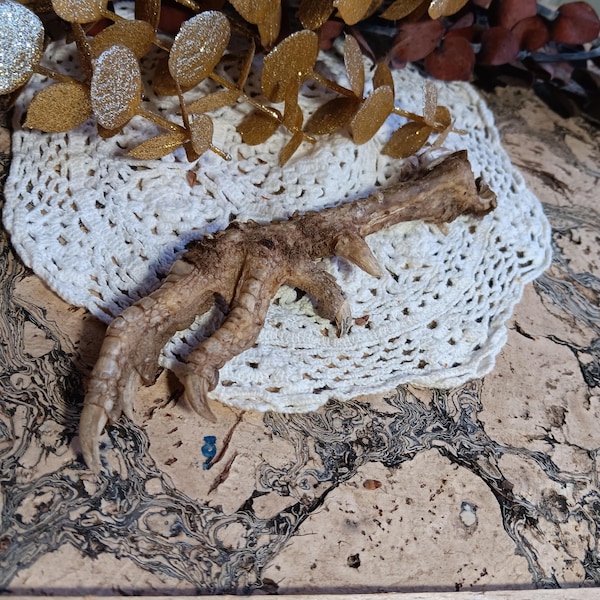 Hoodoo Chicken Feet - Etsy