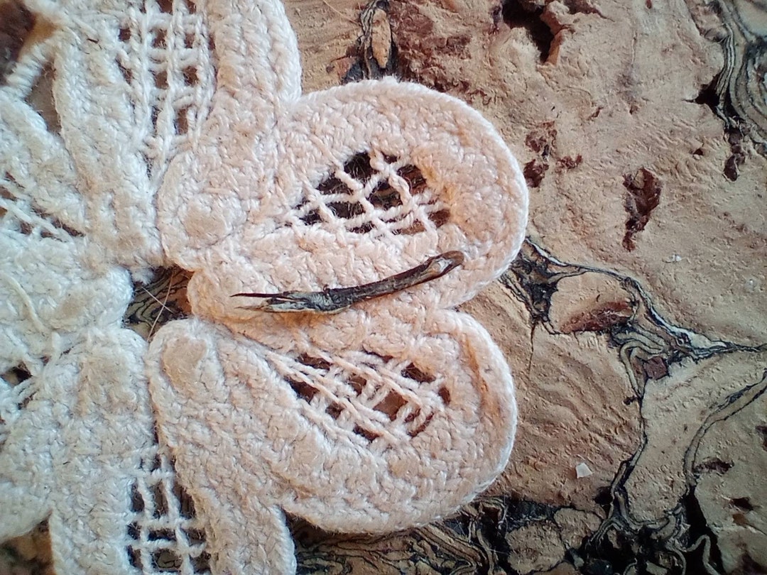 Deathtaxusa 1578 Real Animal Mummified Green Mamba Snake Tongue ...